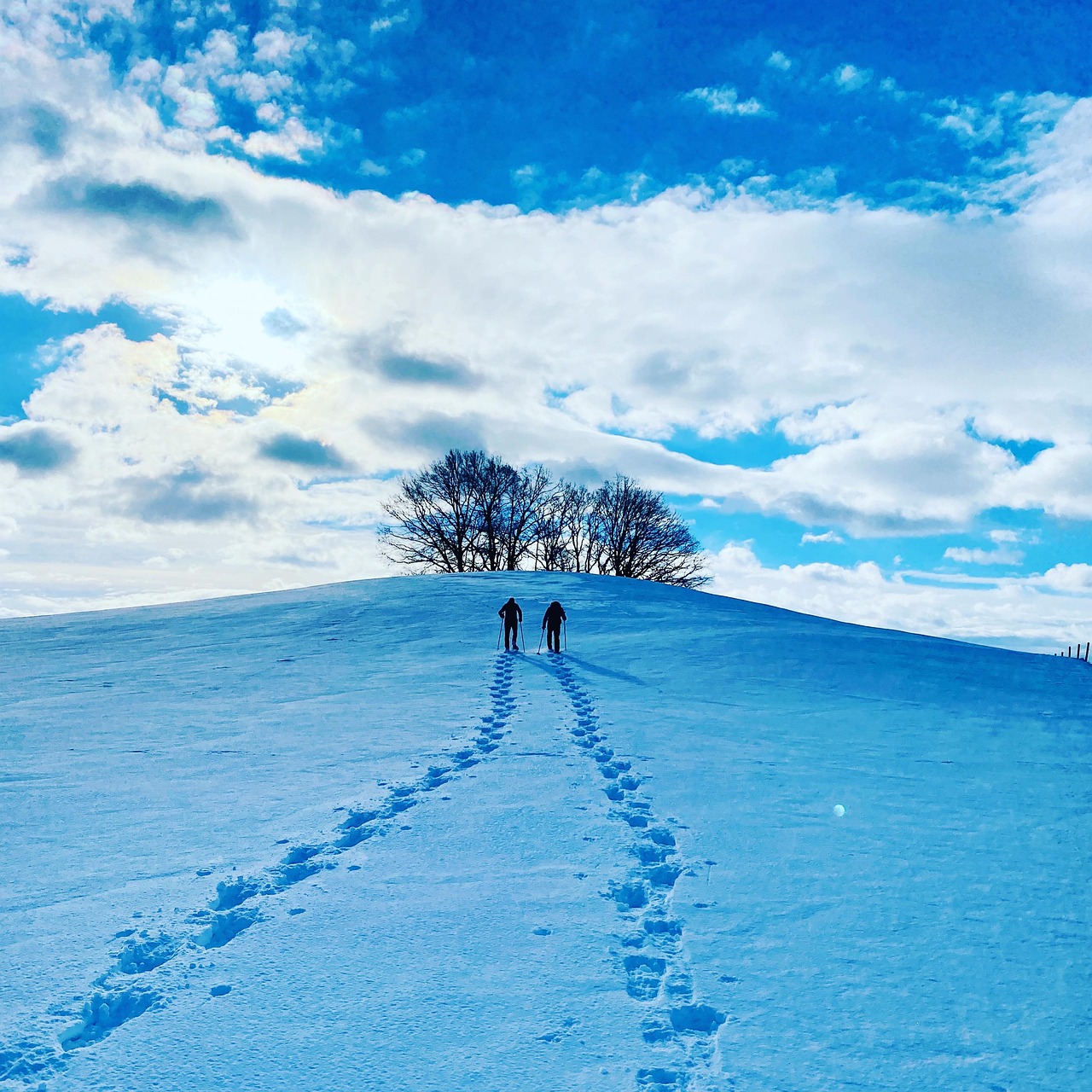 Winter Adventure Outdoors - Free photo on Pixabay - Pixabay