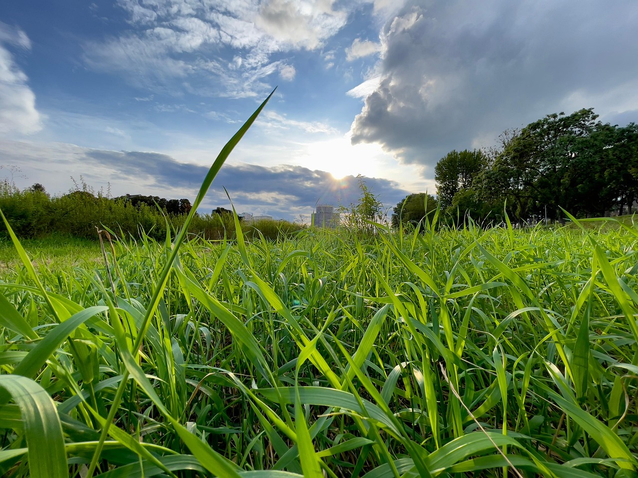 Sky Meadow Clouds - Free photo on Pixabay - Pixabay