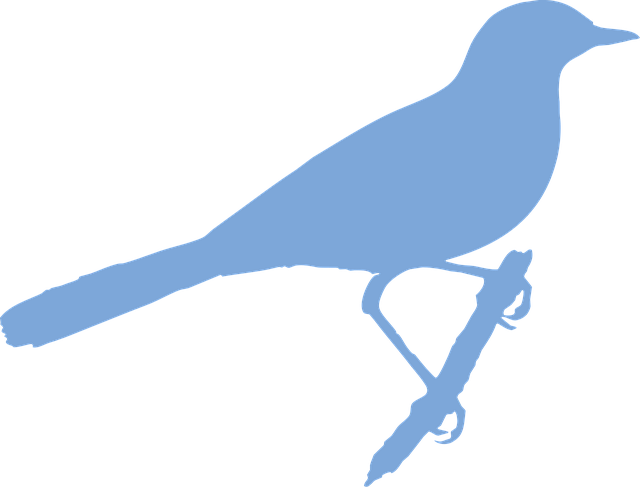 Bird Perched Animal - Free vector graphic on Pixabay