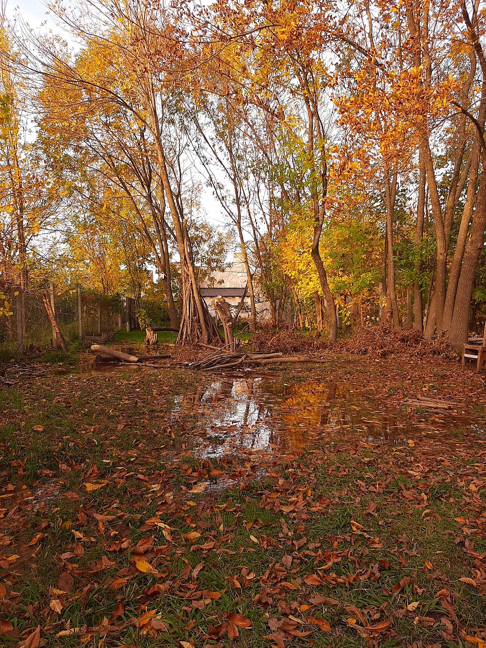 Yard Sunset Orange - Free photo on Pixabay - Pixabay