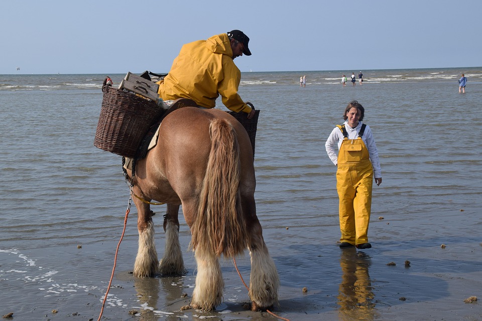 Shrimp Fishing Fisherman - Free photo on Pixabay
