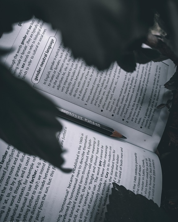 Book Reading Studying - Free photo on Pixabay - Pixabay
