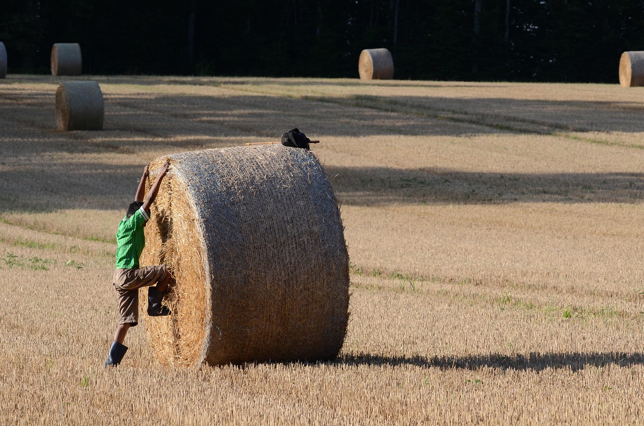 Hay Field Child Playing - Free photo on Pixabay - Pixabay