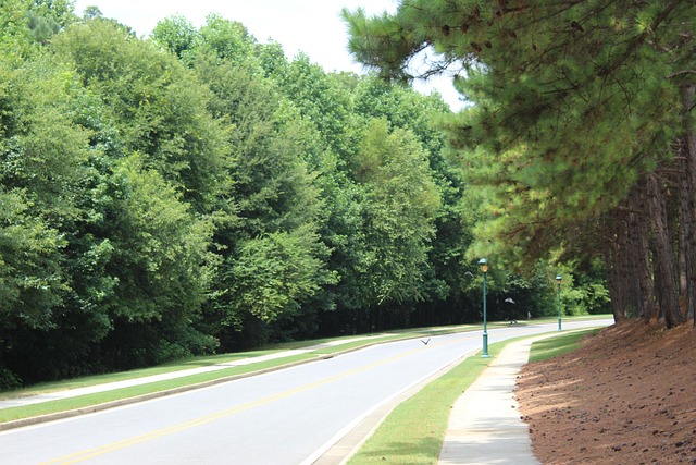 Neighborhood Street Road Suburb - Free photo on Pixabay - Pixabay