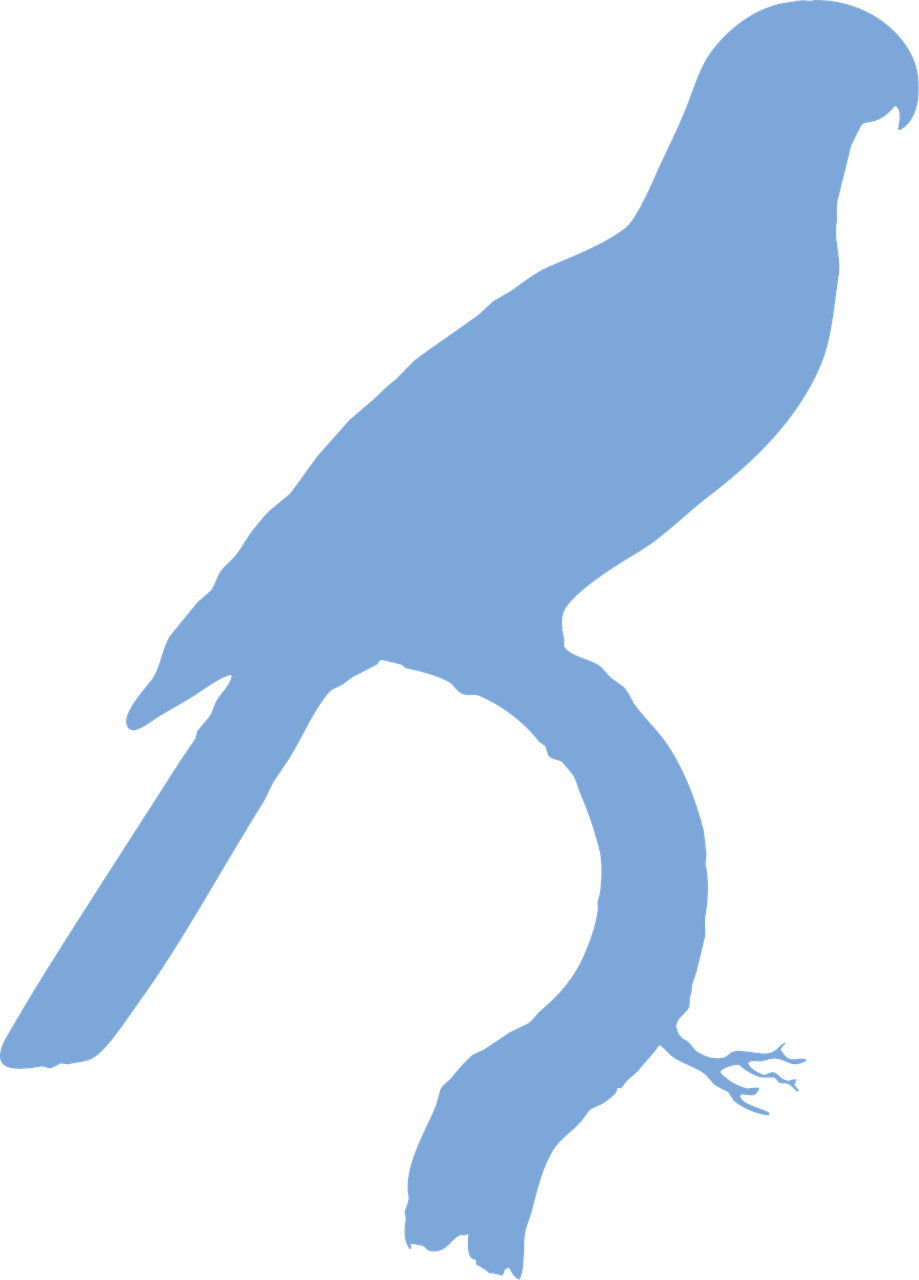 Download Parrot Bird Ornithology Royalty Free Vector Graphic Pixabay