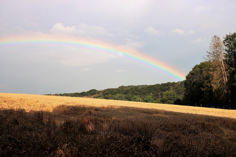 Regenbogen Regen Getreidefeld - Kostenloses Foto auf Pixabay