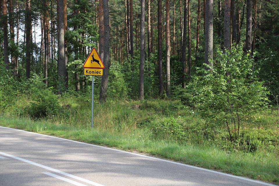Road Travel Sign - Free photo on Pixabay - Pixabay