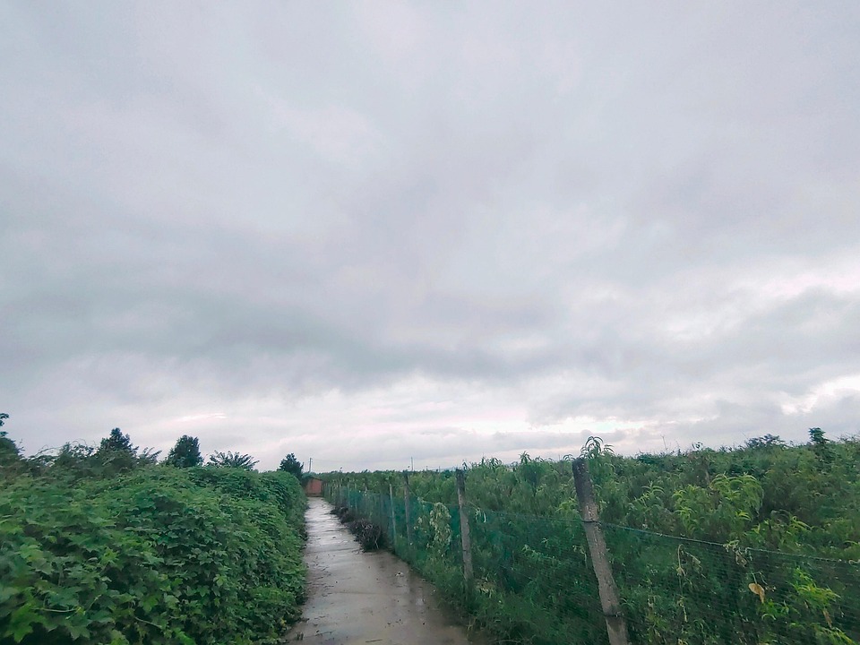 Typhoon Beginning Of Autumn Path - Free photo on Pixabay - Pixabay