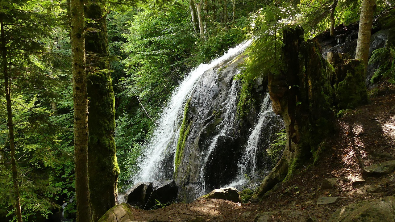 Waterfall Le Hohwald France Nature - Free photo on Pixabay - Pixabay