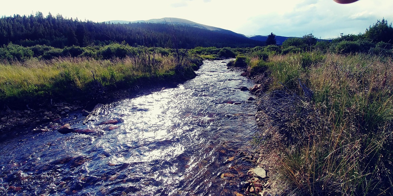 River Stream Creek - Free photo on Pixabay - Pixabay River Stream Creek - Free photo on Pixabay - Pixabay