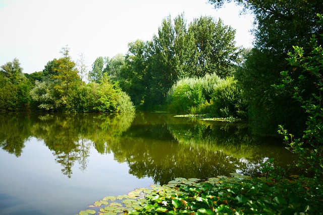 Lac Nature En Plein Air - Photo gratuite sur Pixabay - Pixabay