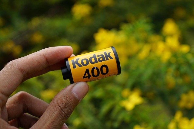 Film Kodak Photography - Free photo on Pixabay