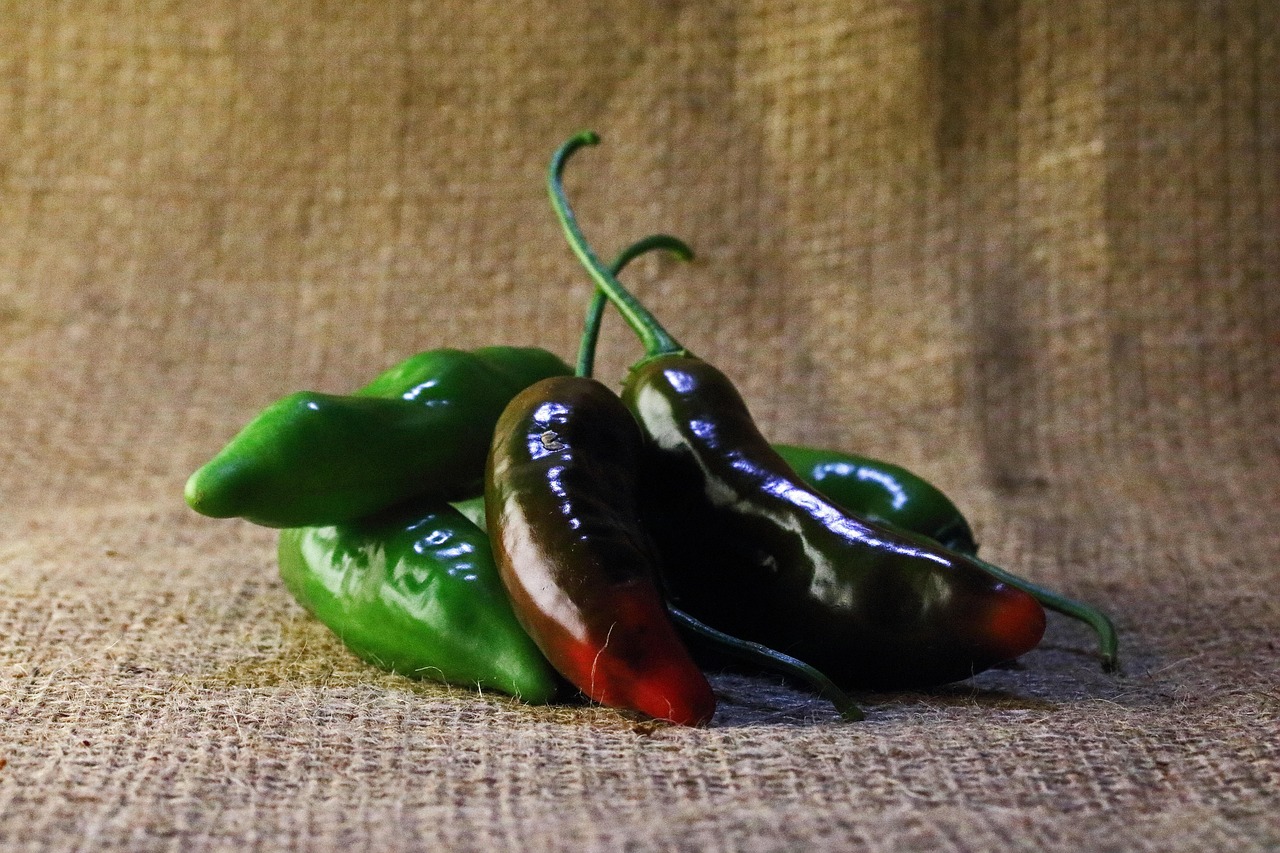 Pimenta Chili Sabor Apimentado - Foto gratuita no Pixabay - Pixabay