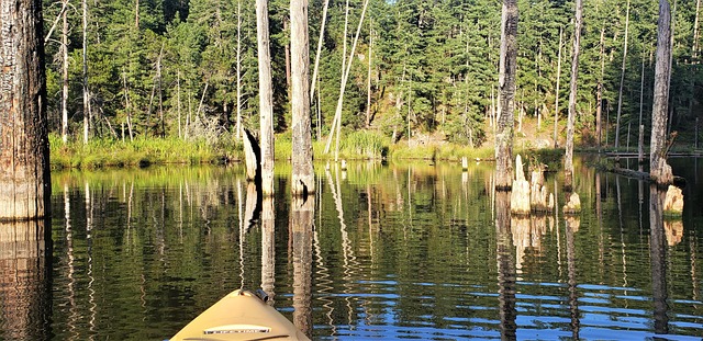 Little Cranberry Lake Water - Free photo on Pixabay - Pixabay
