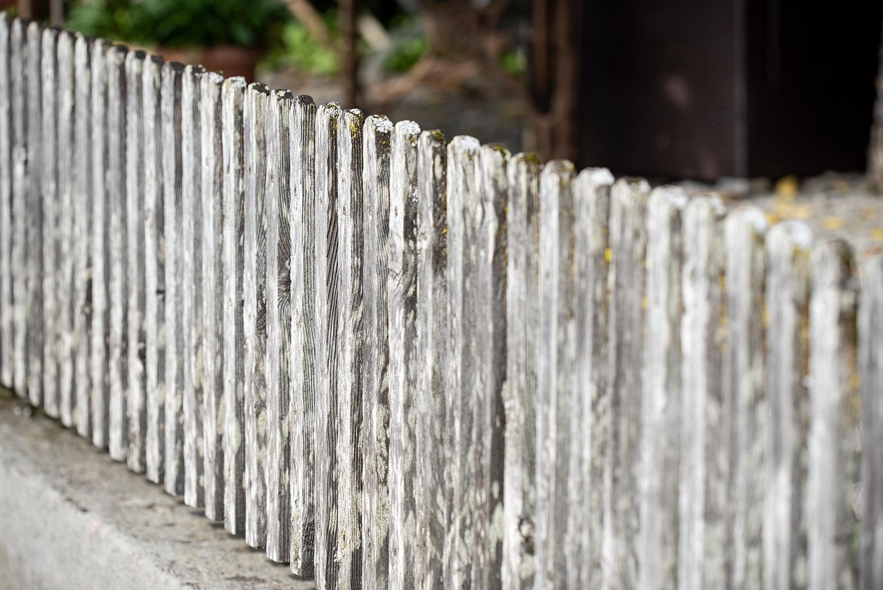 20,000+ Free Wood Fence & Fence Photos - Pixabay