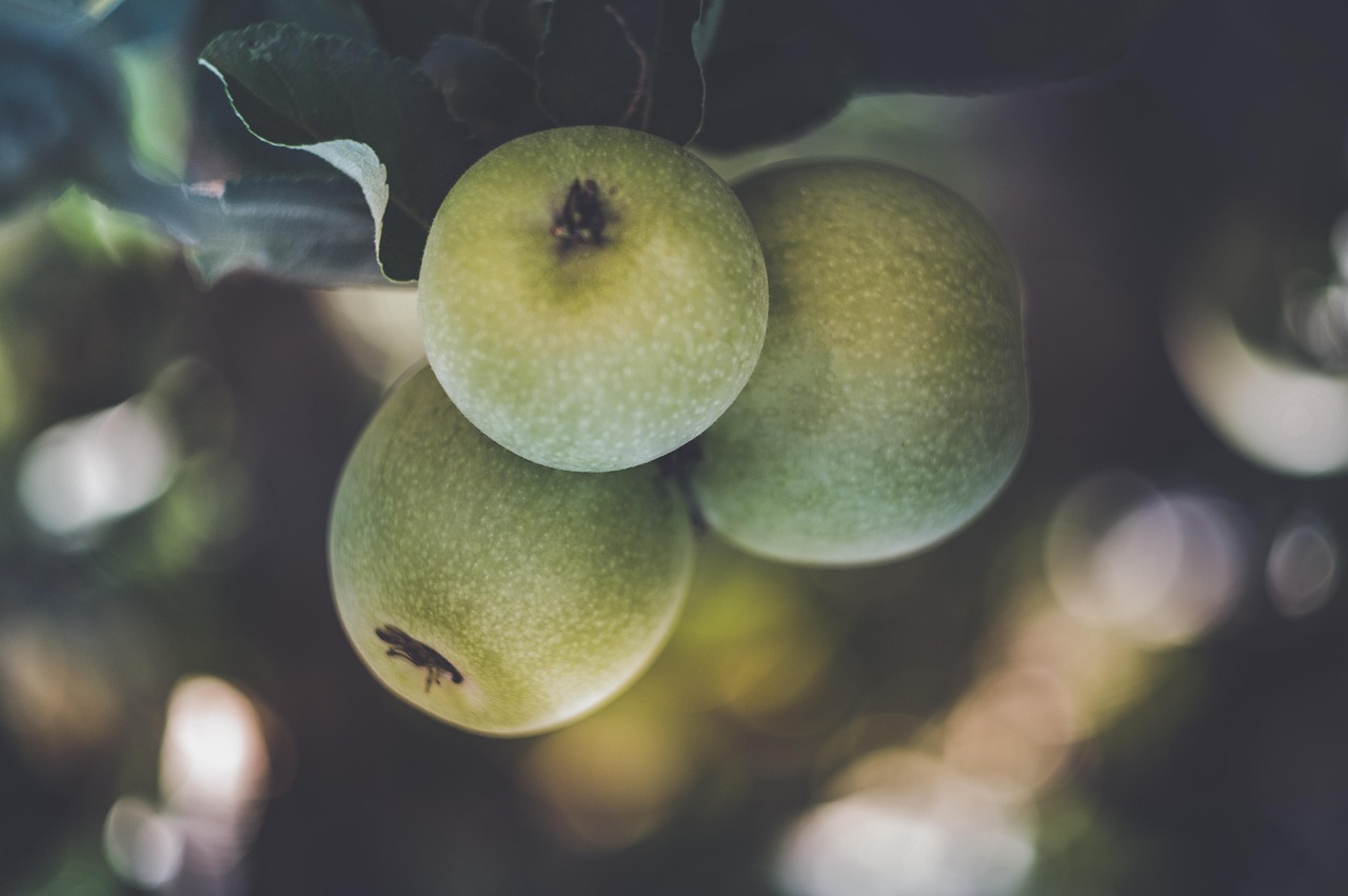 Pomme Verte Des Fruits Direction - Photo gratuite sur Pixabay - Pixabay