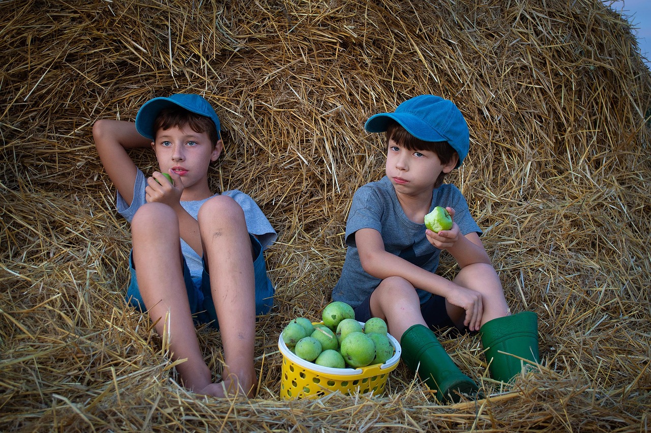 Kids Field Hay - Free photo on Pixabay - Pixabay