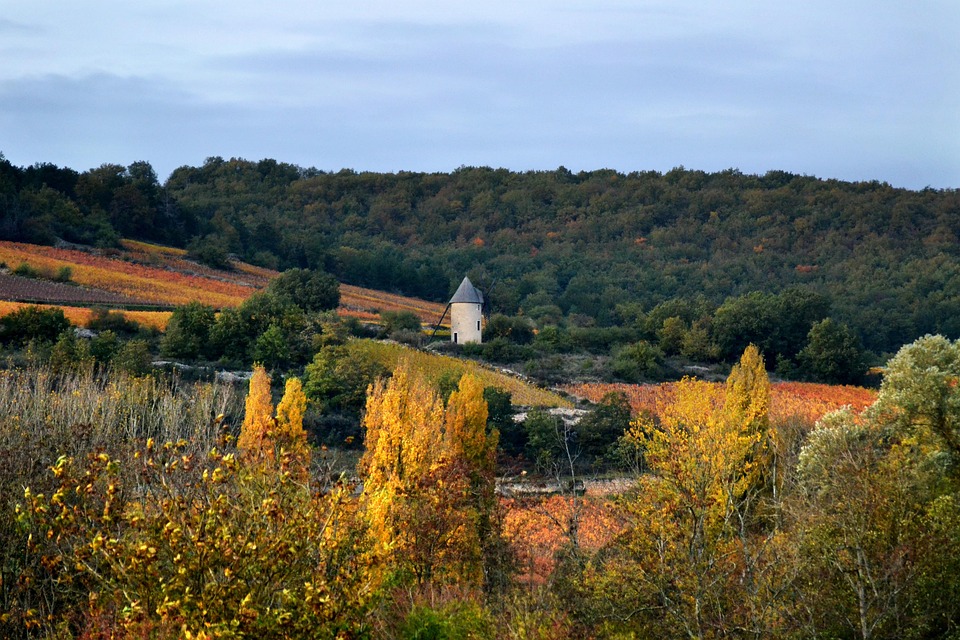 Nature Automne En Plein Air - Photo gratuite sur Pixabay - Pixabay