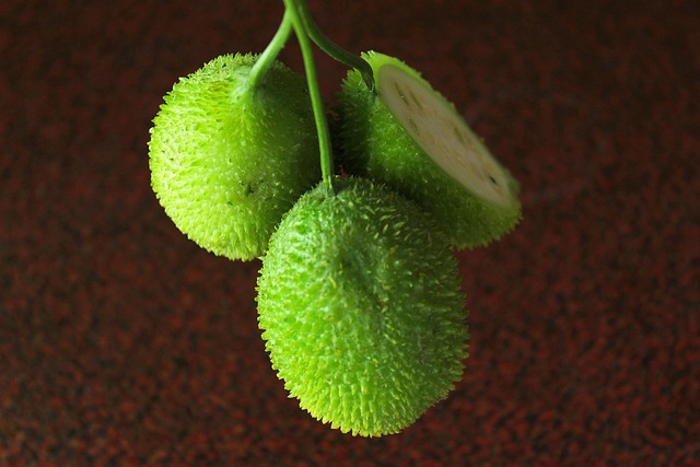 Spiny Gourd Food Fresh - Free photo on Pixabay