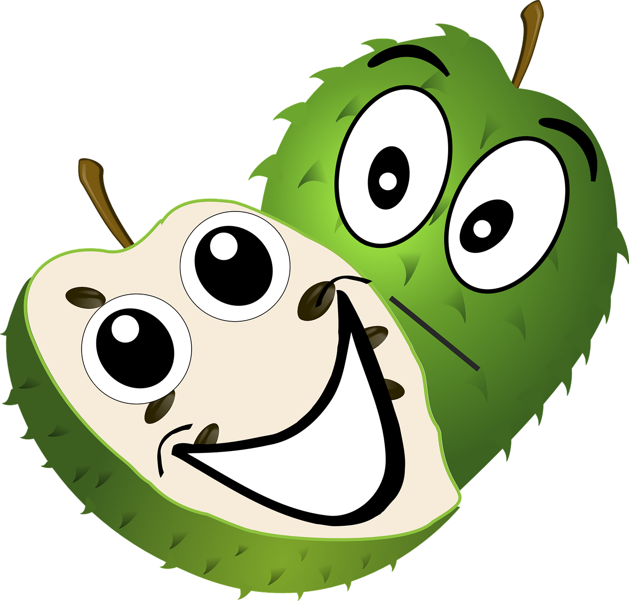 Más de 20 imágenes gratis de Guanabana y Guanábana - Pixabay