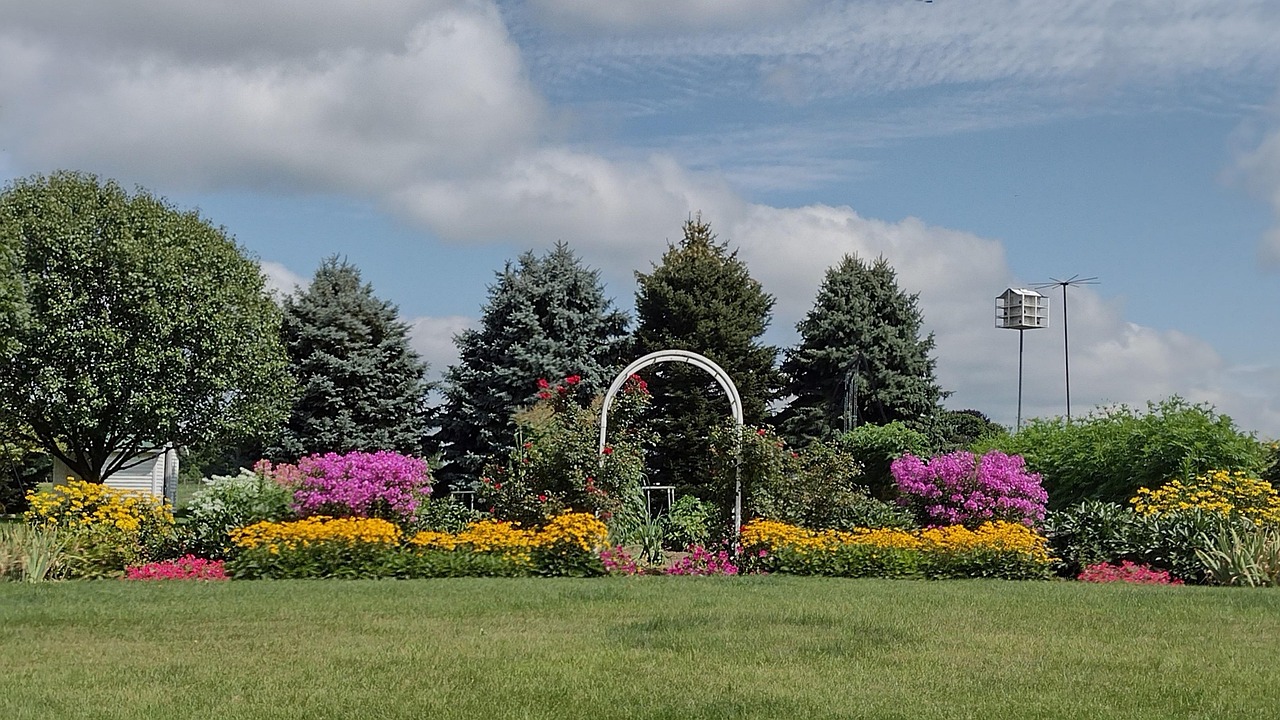 Michigan Fleur - Photo gratuite sur Pixabay - Pixabay