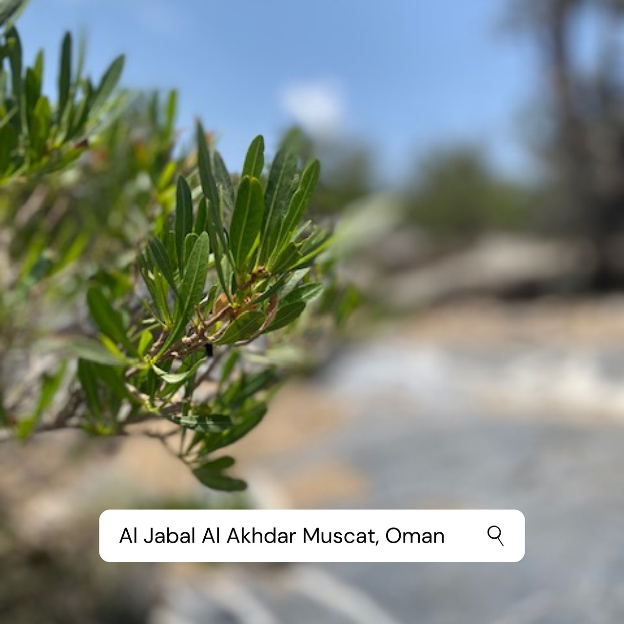 Al Jabal Akhdar Oman Mountains - Free photo on Pixabay - Pixabay