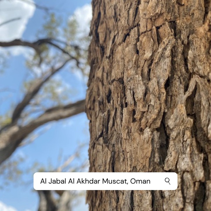 Al Jabal Akhdar Oman Montagnes - Photo gratuite sur Pixabay - Pixabay