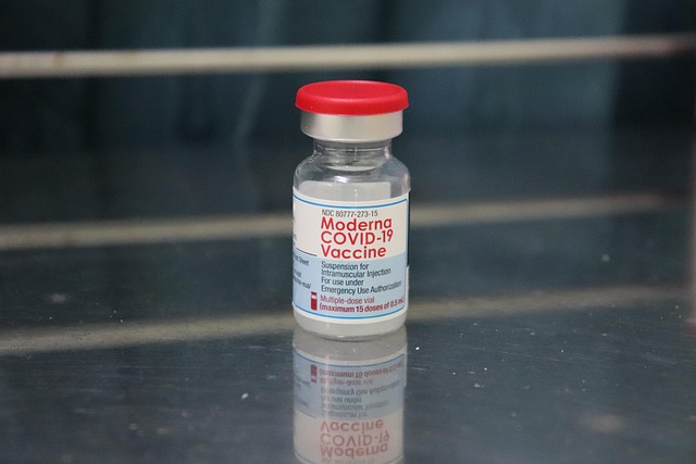 900+ Free Vaccine & Vaccination Images - Pixabay