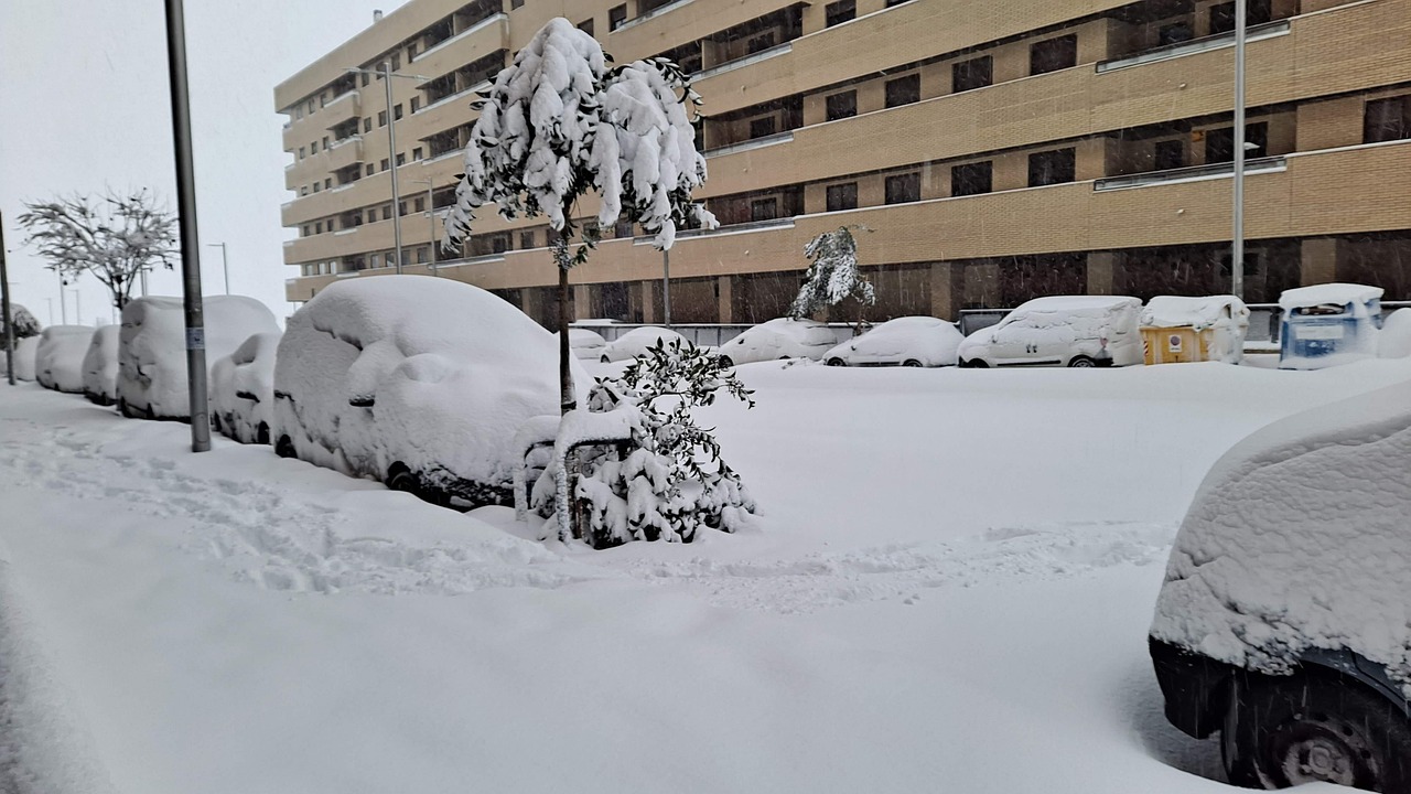 Nieve Spanisch Schnee - Kostenloses Foto auf Pixabay - Pixabay