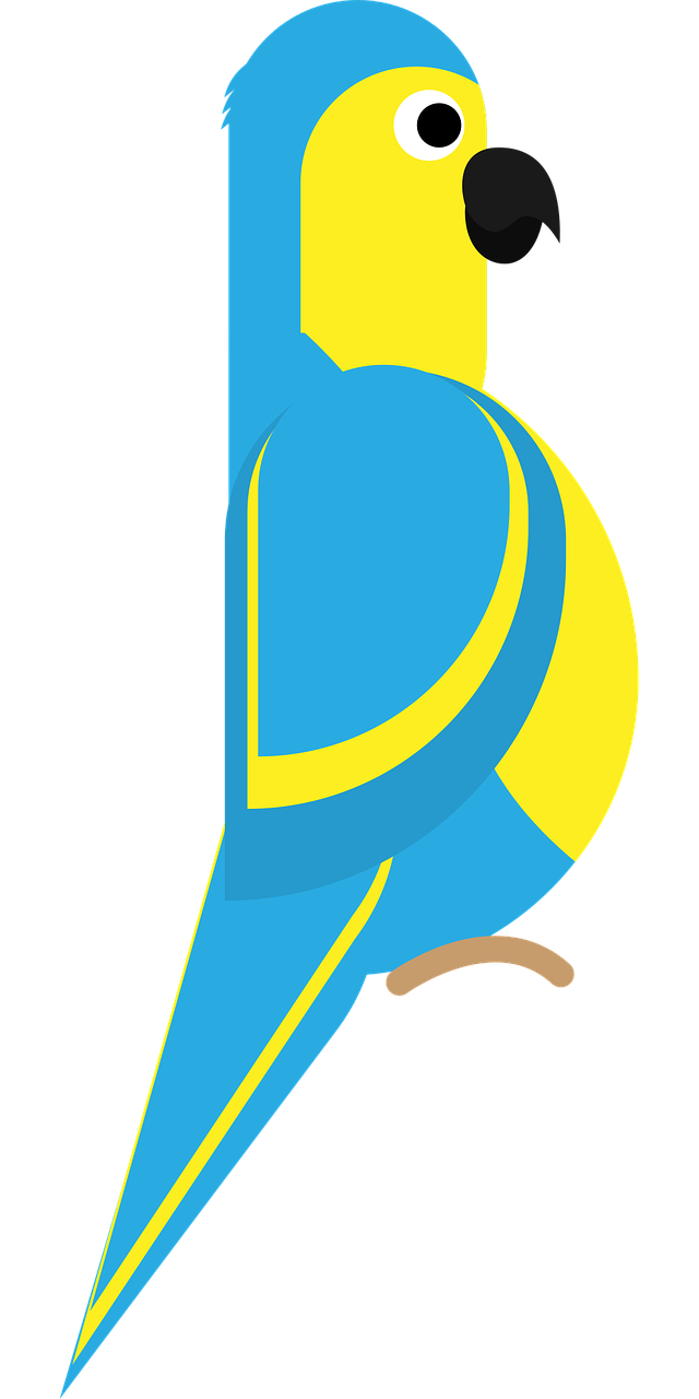Ptak Papuga Zwierzę - Darmowa grafika wektorowa na Pixabay - Pixabay