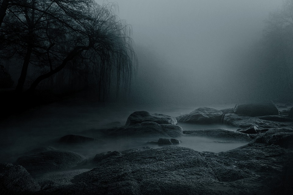 Download Fog, Nature, Dark. Royalty-Free Stock Illustration Image - Pixabay