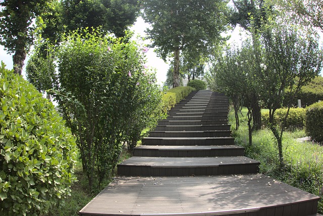 Escalera Naturaleza Parque - Foto gratis en Pixabay - Pixabay