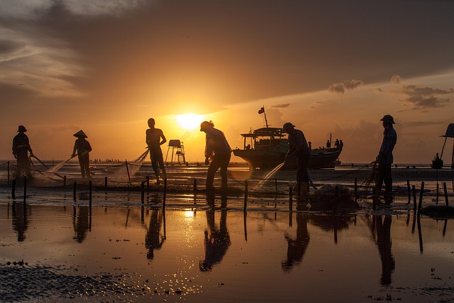 Dawn Fishing Sea - Free photo on Pixabay - Pixabay