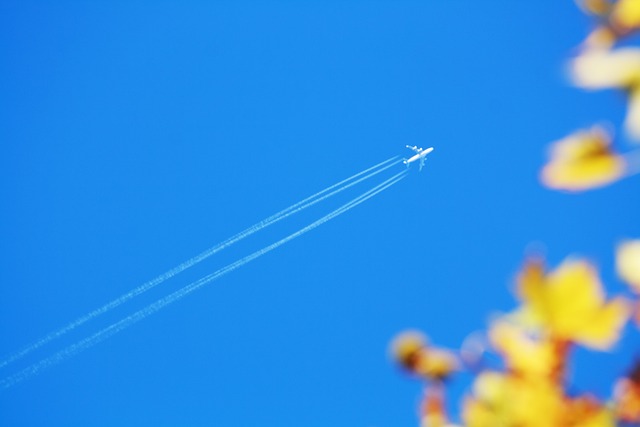 Avion Voiaj Transport - Fotografie gratuită pe Pixabay - Pixabay