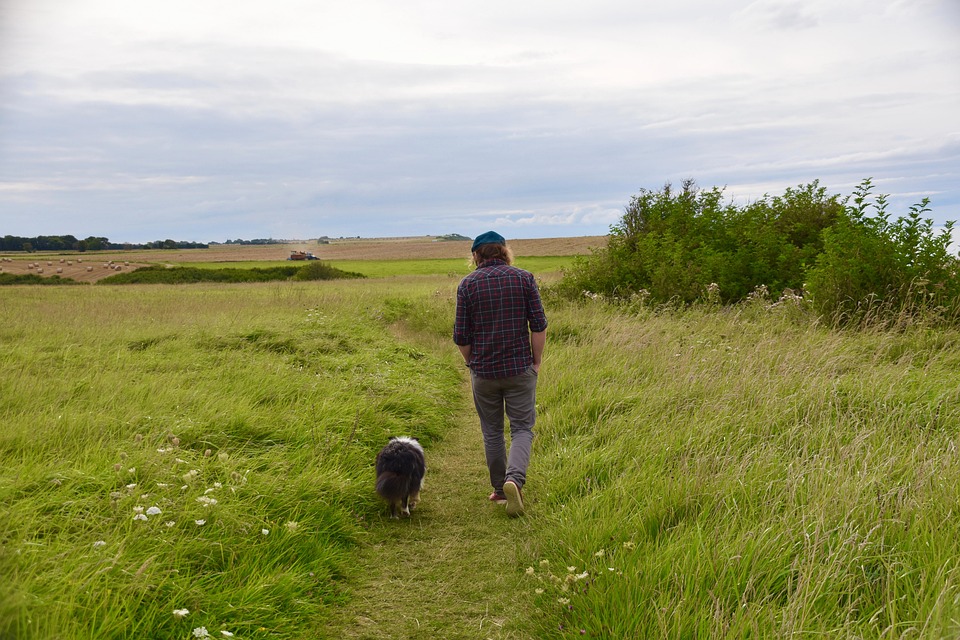 Man Dog Walking Shetland - Free photo on Pixabay - Pixabay