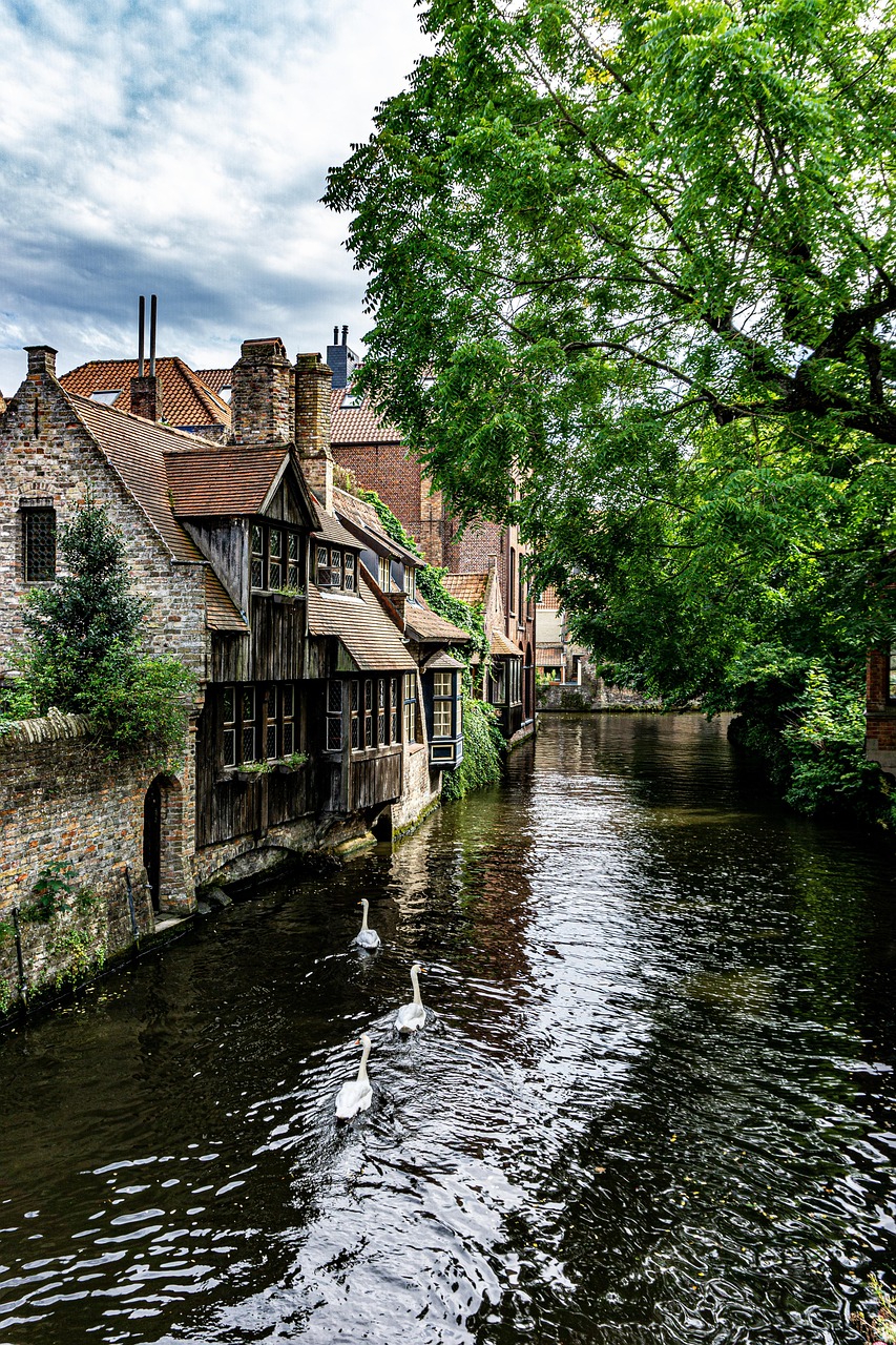 5 000+ Imágenes y Fotos de Brujas Gratis [HD] - Pixabay