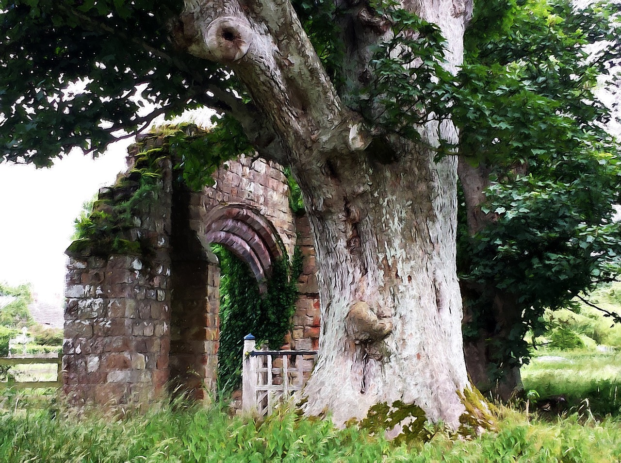 Download Tree Ruin Ancient Royalty-Free Stock Illustration Image - Pixabay
