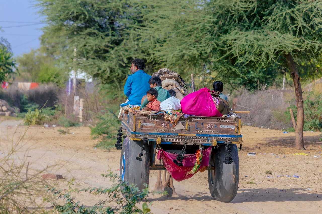 Camel Cart Transport Rural - Free photo on Pixabay