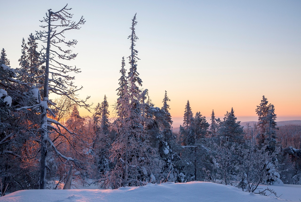 Plus de 600 photos gratuites de Laponie et de Finlande - Pixabay