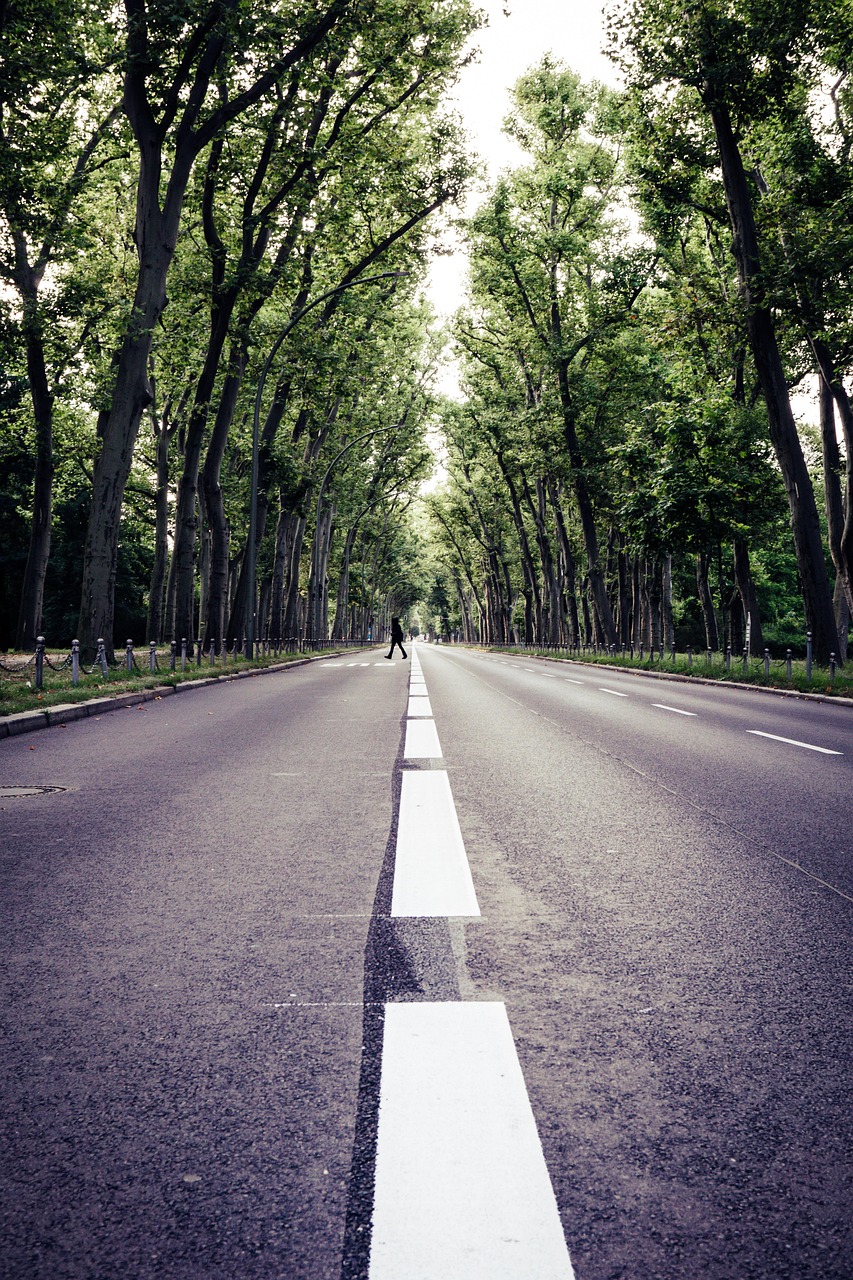Avenue Road Trees - Free photo on Pixabay - Pixabay