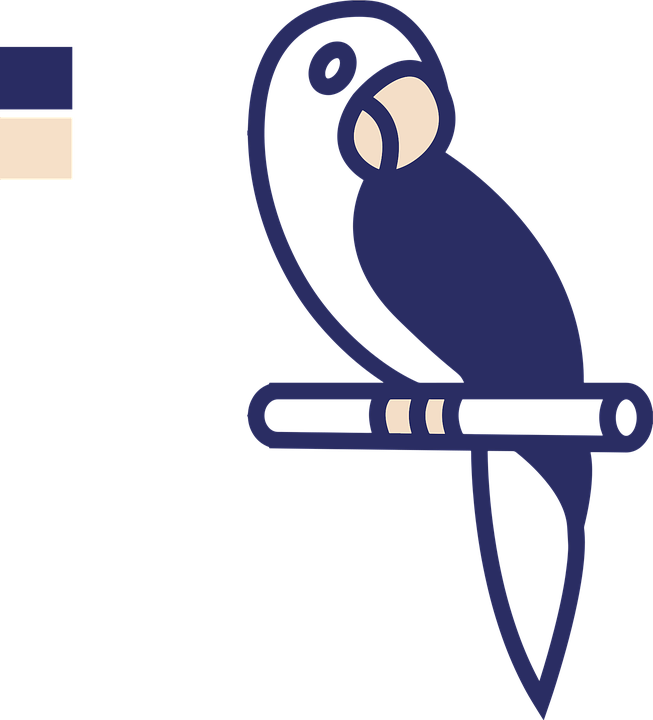 Bird They Parrot - Free vector graphic on Pixabay