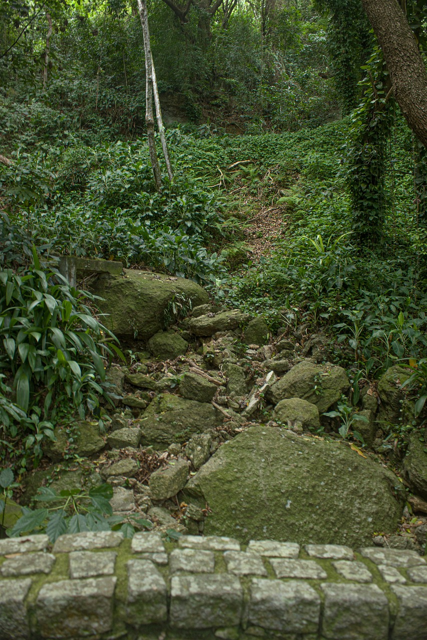 Park Stream Nature - Free photo on Pixabay - Pixabay