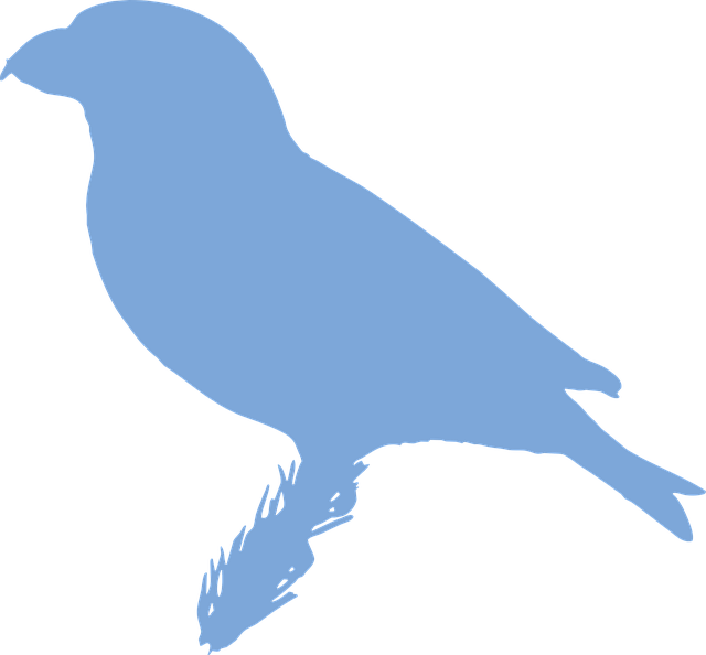 Vink Vogel Silhouet - Gratis vectorafbeelding op Pixabay - Pixabay