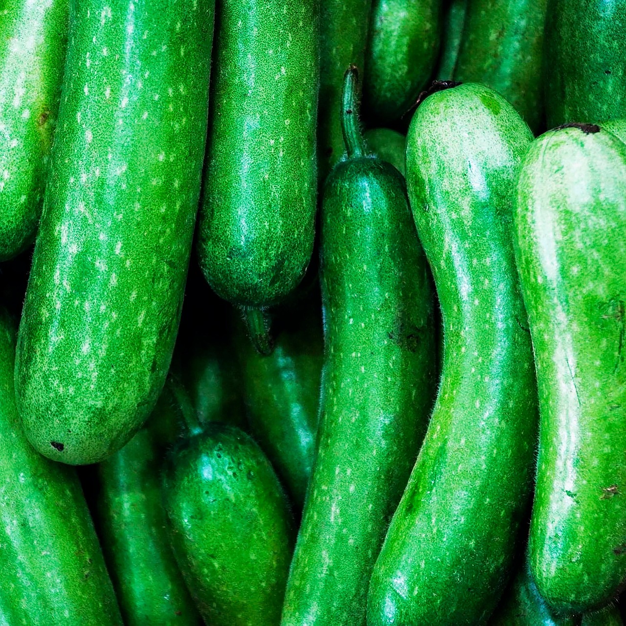 Légumes Vert - Photo gratuite sur Pixabay - Pixabay