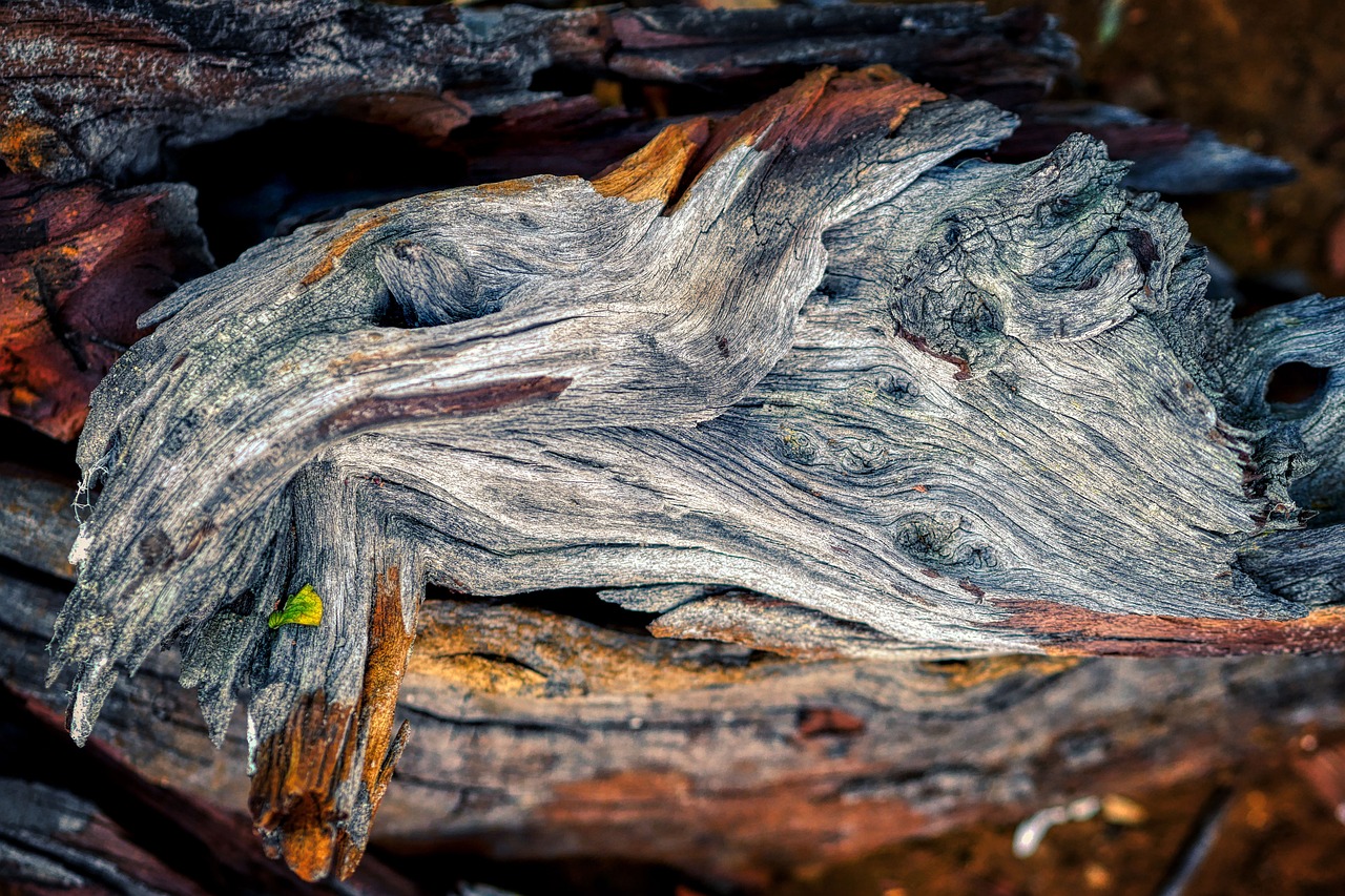 Wood Firewood Log - Free photo on Pixabay