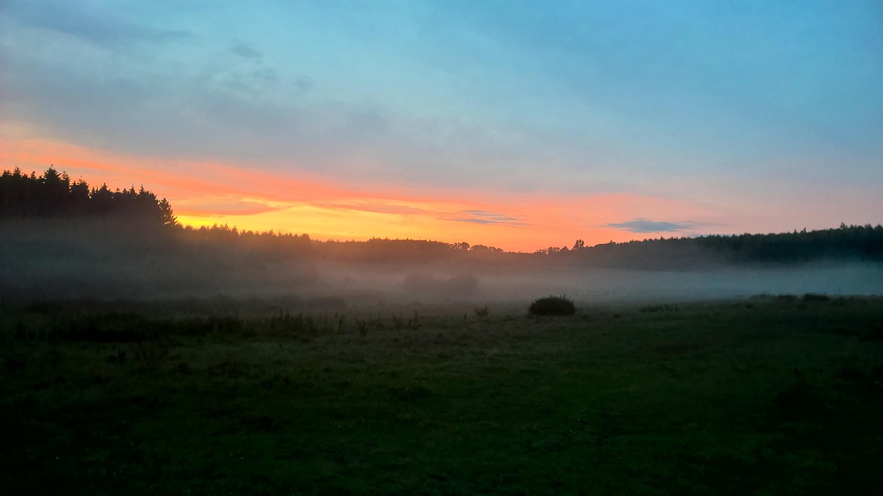 Sunset Field Fog - Free photo on Pixabay - Pixabay