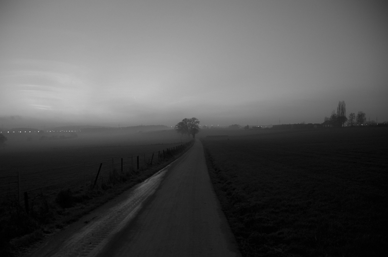 Fog Field Path - Free photo on Pixabay - Pixabay