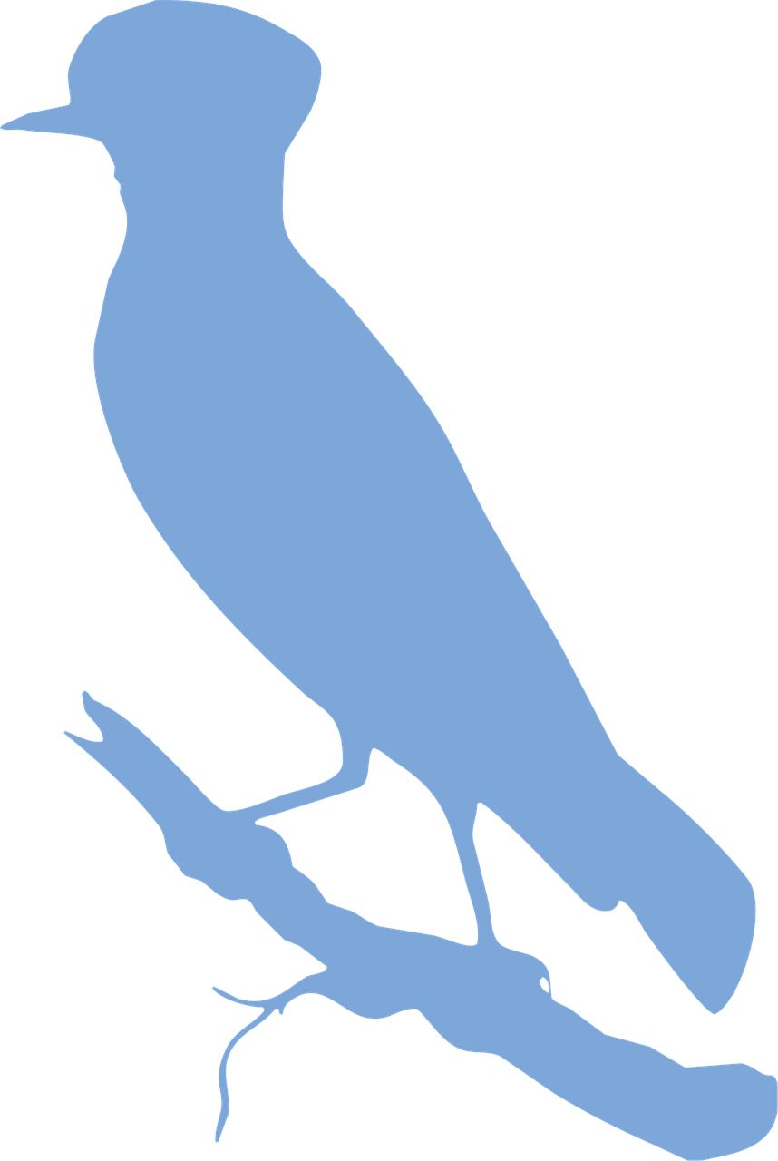 4+ Free Rengas Ouzel & Ring Ouzel Images - Pixabay