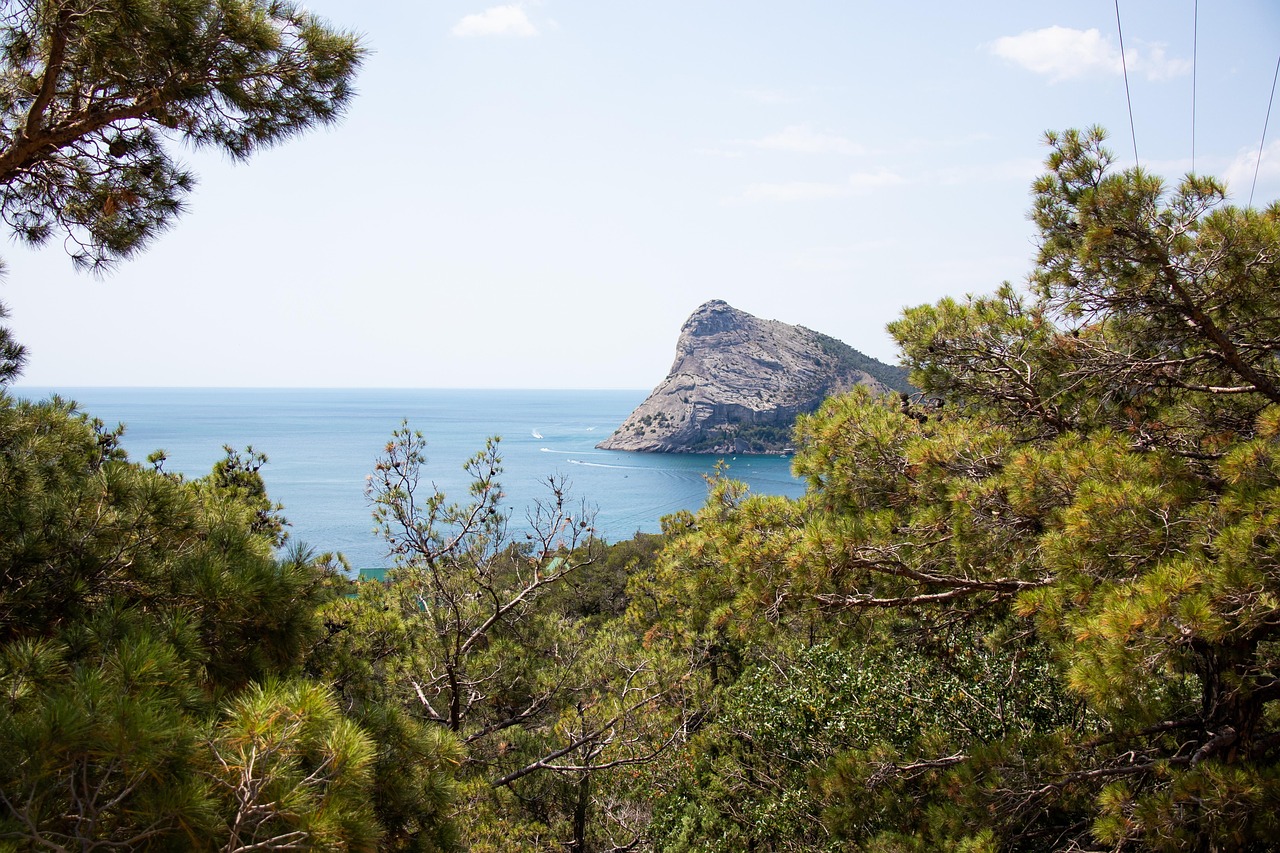 200+ Free Juniper & Nature Images - Pixabay