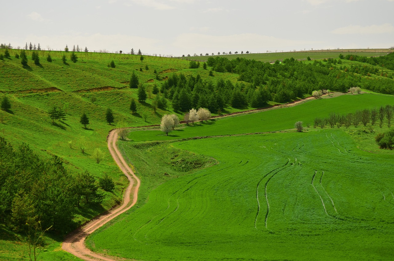 Countryside Rural Fields - Free photo on Pixabay